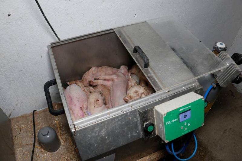 Jahresbericht 2022 - ARIWA